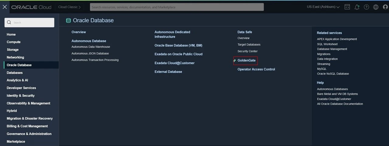 OCI GoldenGate Diagnostics GGSERR.log - OracleGG