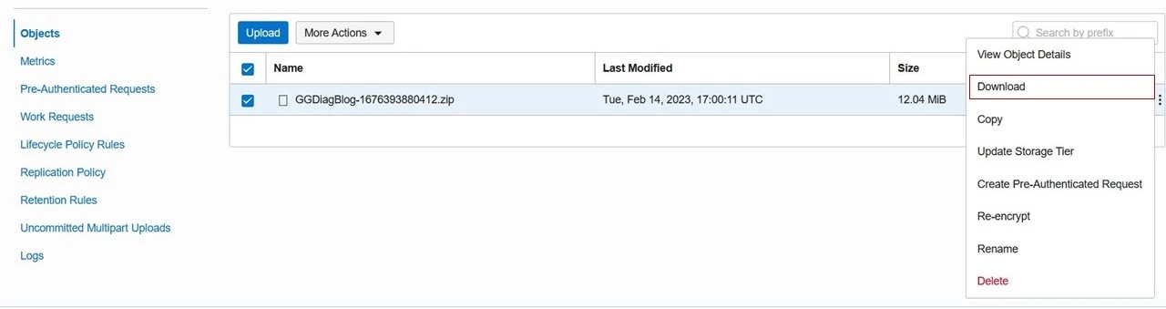 OCI GoldenGate Diagnostics GGSERR.log - OracleGG